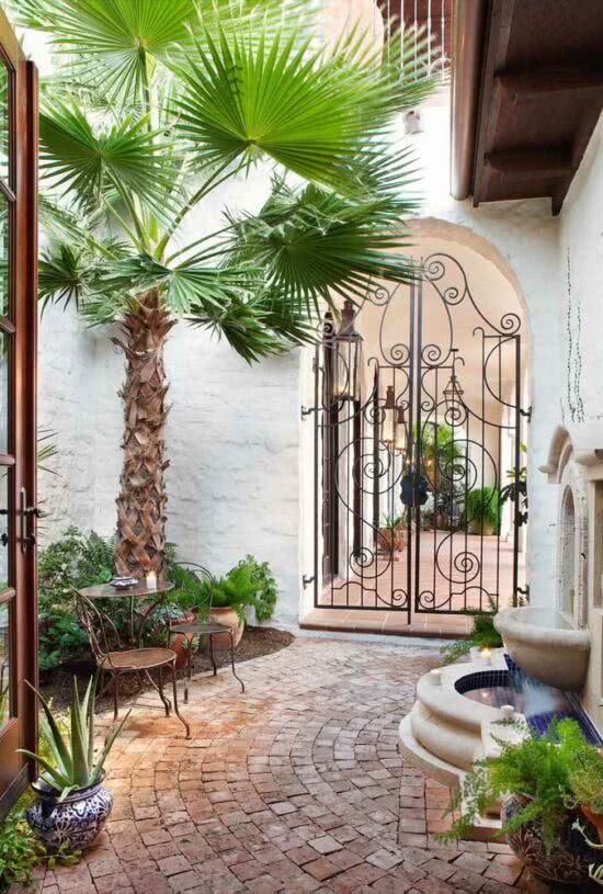 Coqueiro de Jardim: Tipos, Como Plantar, Dicas e Fotos para se Inspirar