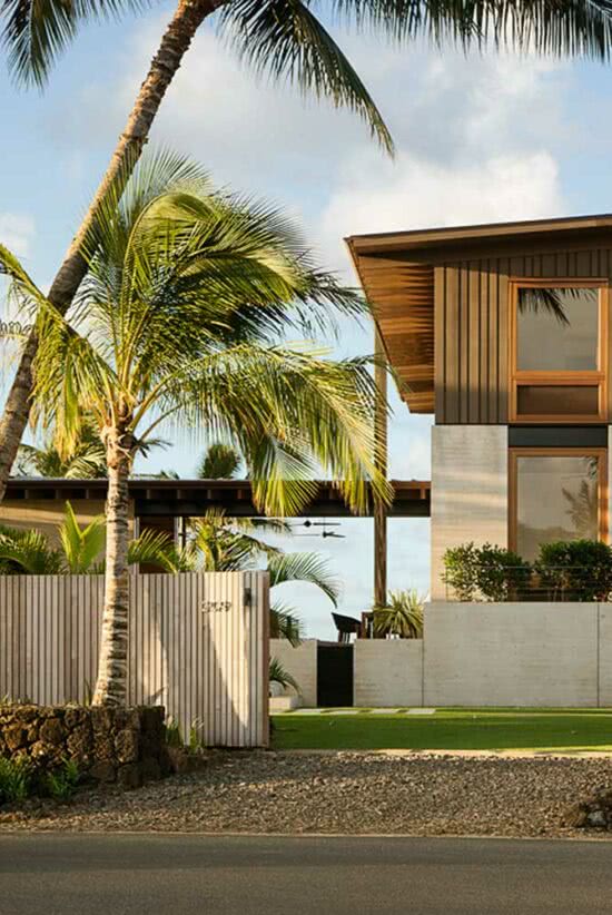 Coqueiro de Jardim: Tipos, Como Plantar, Dicas e Fotos para se Inspirar