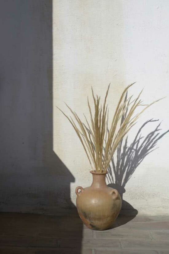 Ânfora: O que é, Como Usar, Tipos e Fotos para se Inspirar