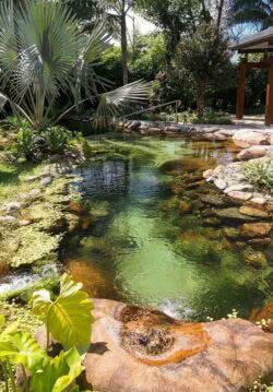 Piscina Natural: Vantagens, Dicas, Como Fazer e Fotos