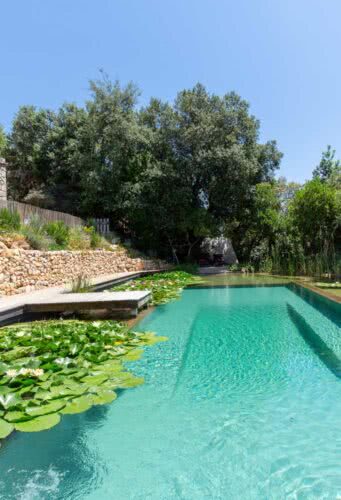 Piscina Natural: Vantagens, Dicas, Como Fazer e Fotos