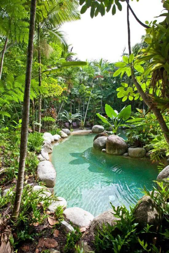 Piscina Natural: Vantagens, Dicas, Como Fazer e Fotos