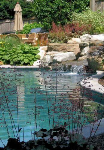 Piscina Natural: Vantagens, Dicas, Como Fazer e Fotos