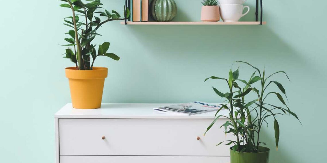 Verde Menta: Significado, Como Combinar e Fotos de Decoração