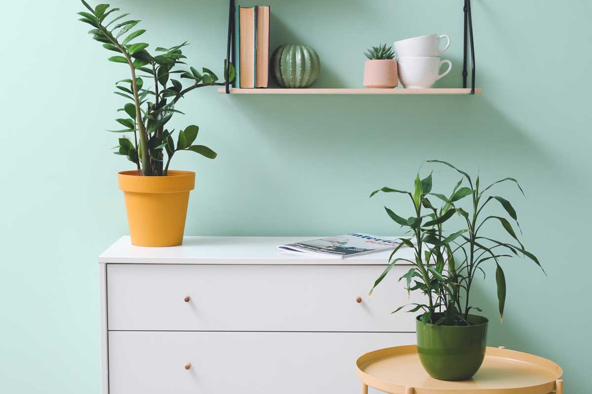 Verde Menta: Significado, Como Combinar e Fotos de Decoração