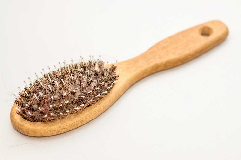 Poeira em Casa: Como Evitar e Dicas Essenciais para Você Seguir