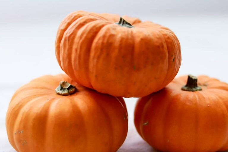 Como Cozinhar Abóbora: 5 Métodos Simples e Truques Valiosos