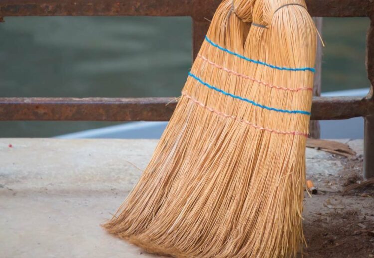 Tipos de Vassoura: Dicas para Escolher o Modelo Ideal
