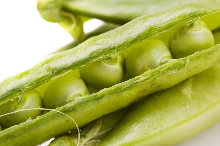 Como Cozinhar Ervilha: Dicas Essenciais para Você Seguir