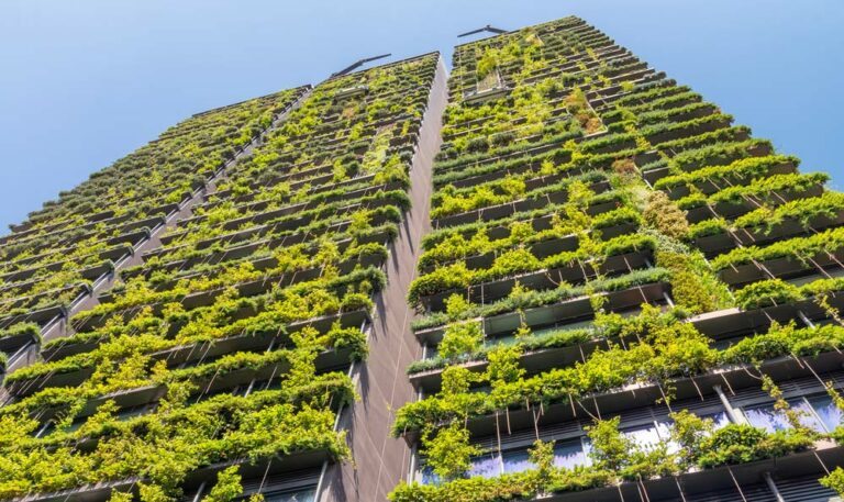 Bioarquitetura: o que é, características e as principais vantagens