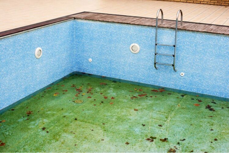 Piscina Verde: Causas, Limpeza, Como Evitar e Dicas Profissionais