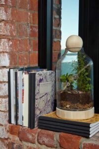 Terrário Fechado: Como Cuidar, Dicas e 50 Ideias Criativas