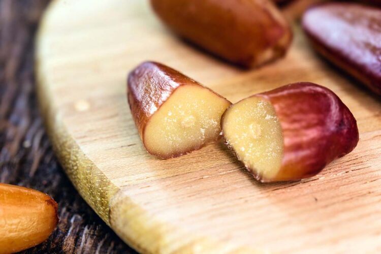 Como Cozinhar Pinhão: Guia Completo com Técnicas Profissionais