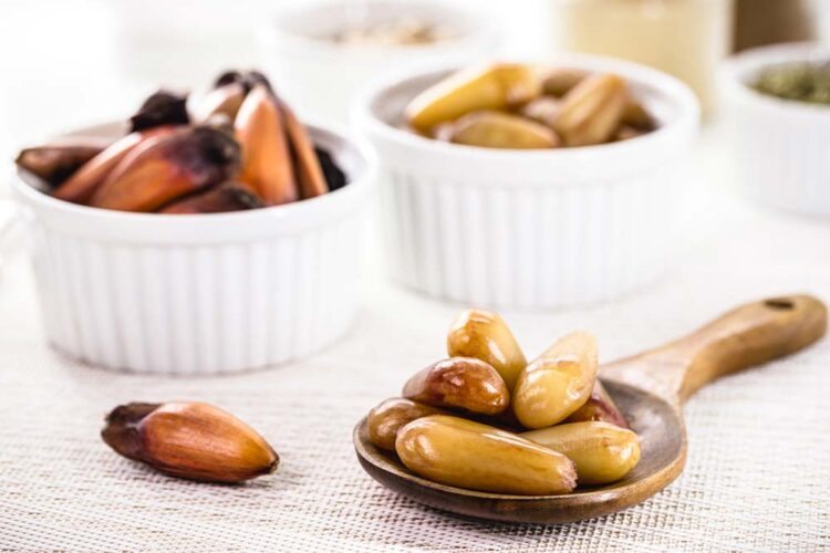 Como Cozinhar Pinhão: Guia Completo com Técnicas Profissionais