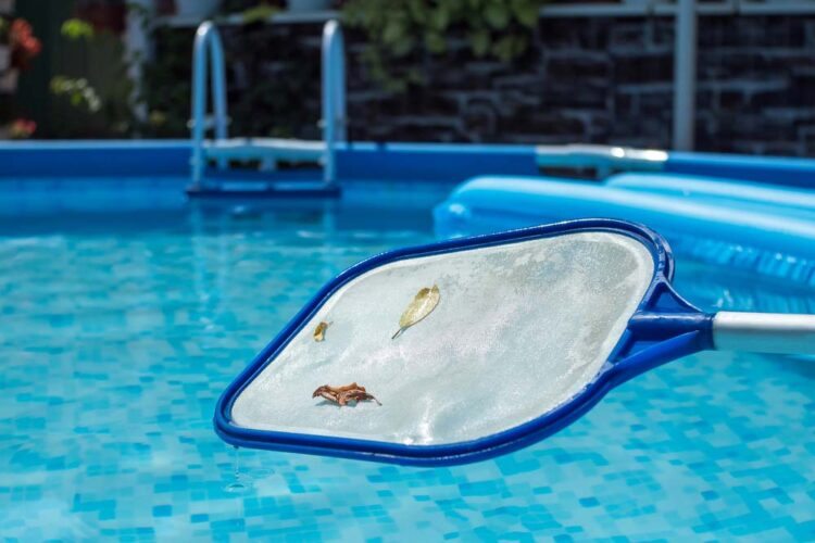 Produtos para Limpar Piscina: 11 Essenciais e Dicas Profissionais